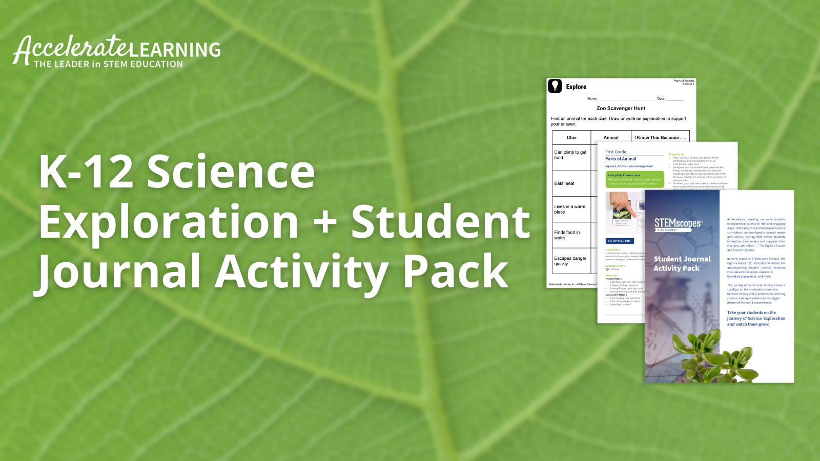 STEMscopes Science | Student Journal Activity Pack